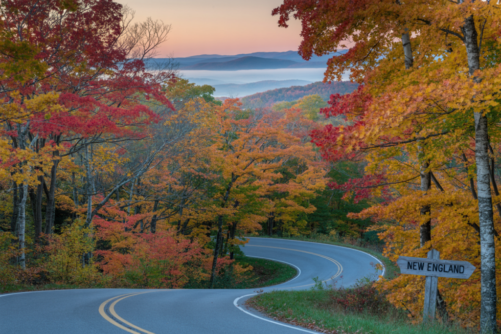 Top 7 Fall Foliage Tours in New England for 2025 - trippandora.com