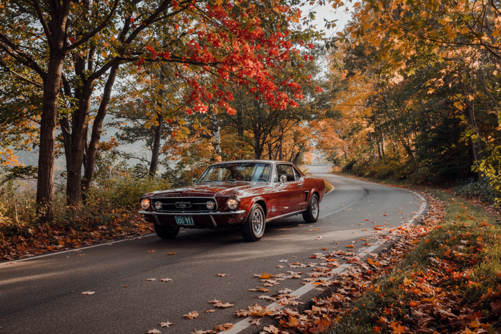 Fall Foliage Road Trips in the USA: 15 For Your Bucket List ...