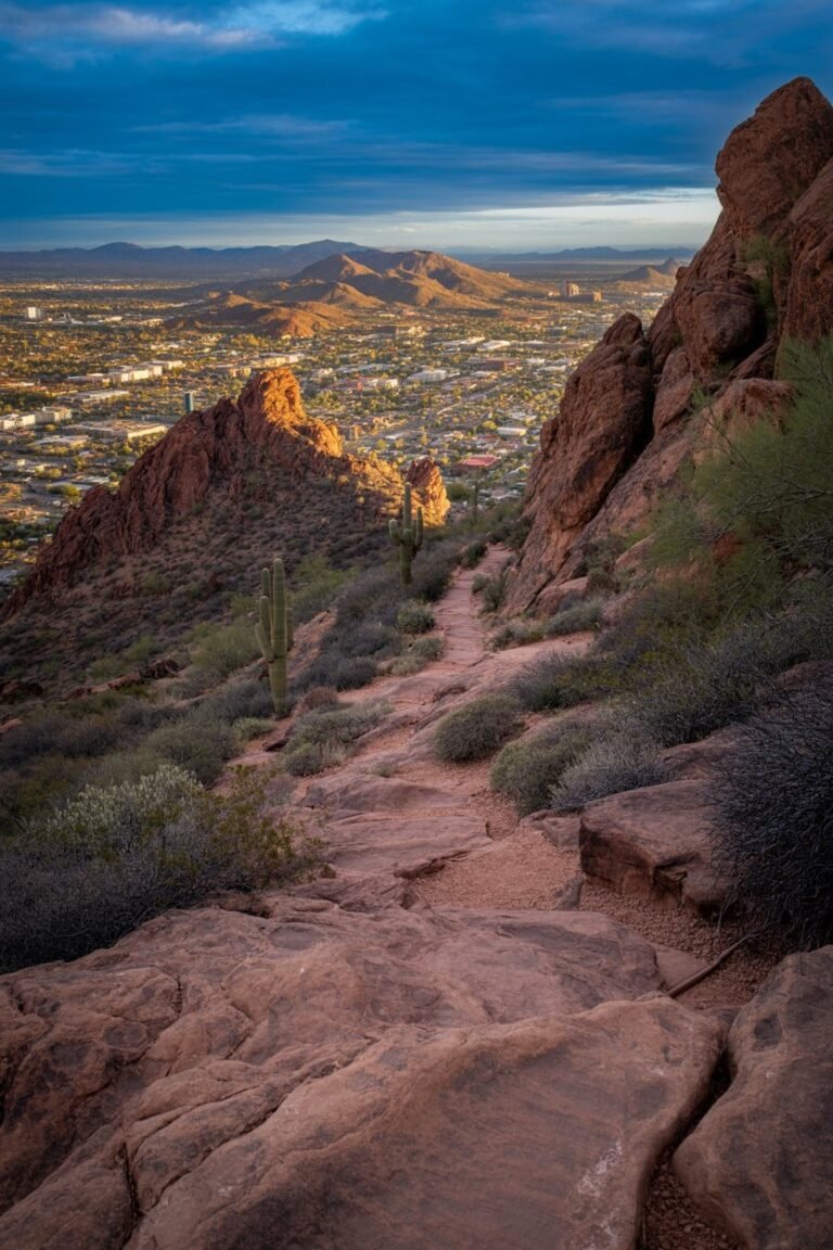 Best Things To Do In Phoenix, Arizona - trippandora.com